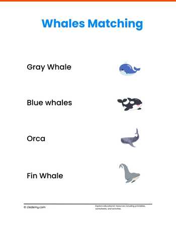 Whales Matching Worksheet | Cledemy.com