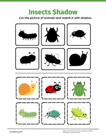 Insects Shadow Cut And Paste Worksheet | Cledemy.com