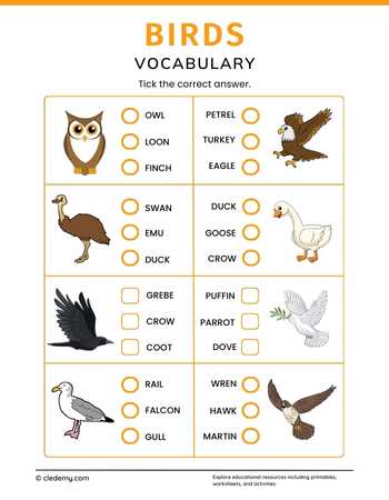 Birds Vocabulary Worksheets | Cledemy.com