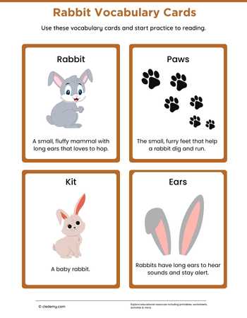 Rabbit Vocabulary Cards Worksheets | Cledemy.com