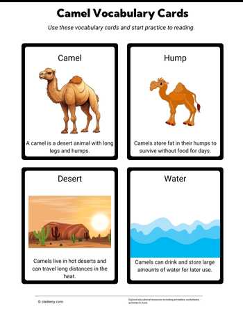 Camel Vocabulary Cards Worksheets | Cledemy.com