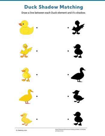 Duck Shadow Matching Worksheets | Cledemy.com