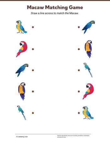 Macaw Matching Game Worksheets | Cledemy.com