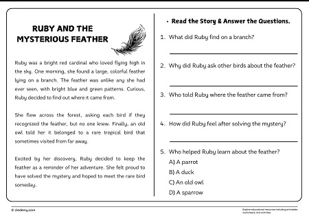 Ruby and The Mysterious Feather Reading Comprehension Passages ...