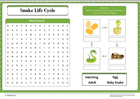 Snake Life Cycle Word Search Worksheets | Cledemy.com