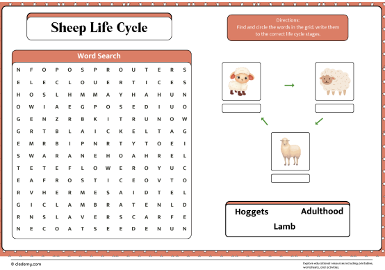 Sheep Life Cycle Word Search Worksheets | Cledemy.com