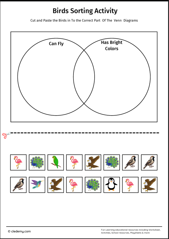 Birds Sorting Activity Worksheets | Cledemy.com