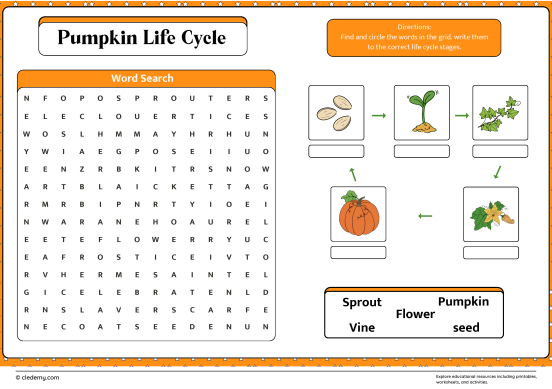 Pumpkin Life Cycle Word Search Worksheets | Cledemy.com